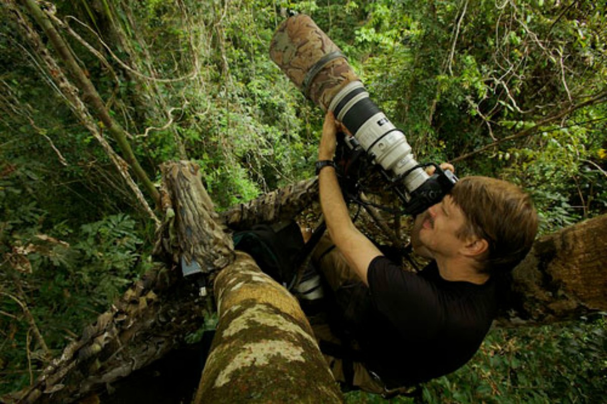 antrophistoria: Tim Laman, el fotógrafo de la naturaleza salvaje