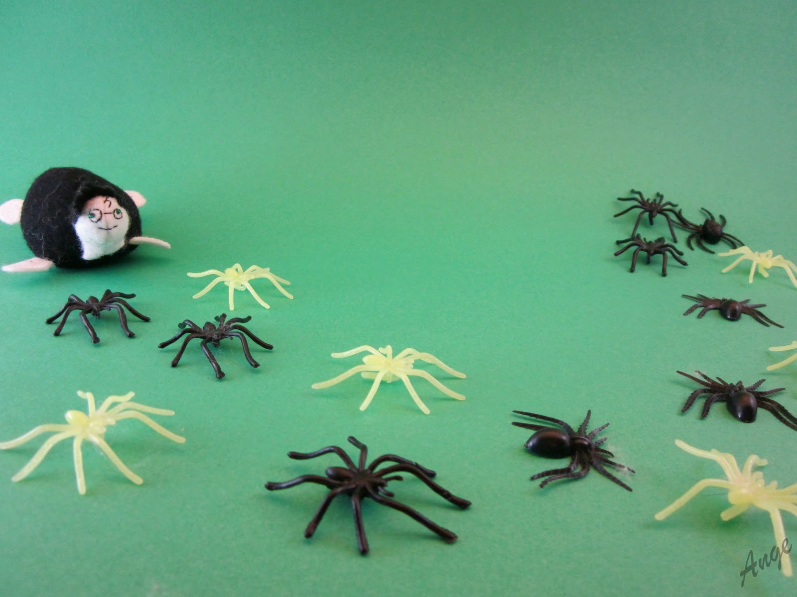 ~The Daily Turtle~: #288 Follow the spiders, Harry