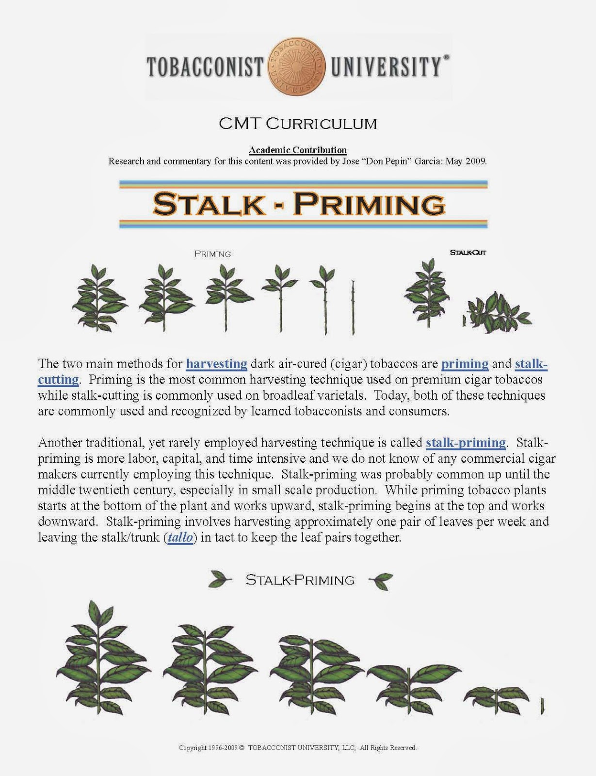 Tobacconist University: Stalk Priming