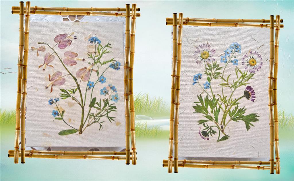 Les mains dans la tête: papier recyclé et albums photo