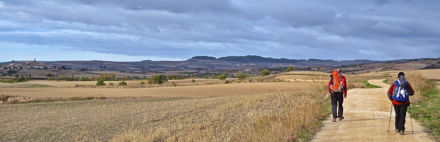 El Camino de Santiago desde Asturias: "Sansol"