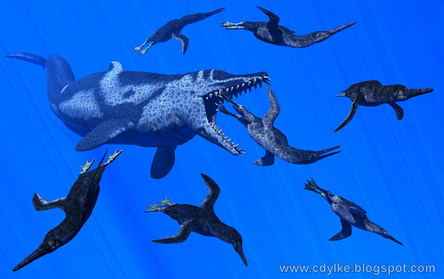 ART Evolved: Life's Time Capsule: Member Bio: Craig Dylke