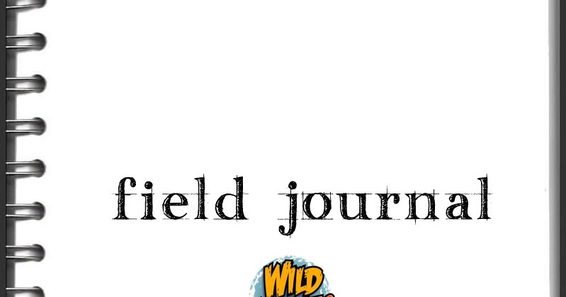 Different Dog - A Simply Beautiful Life: Wild Kratts Field Journal ...
