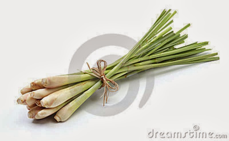 Lemon Grass- The green cure for cancer and the pesky mosquito bite ...