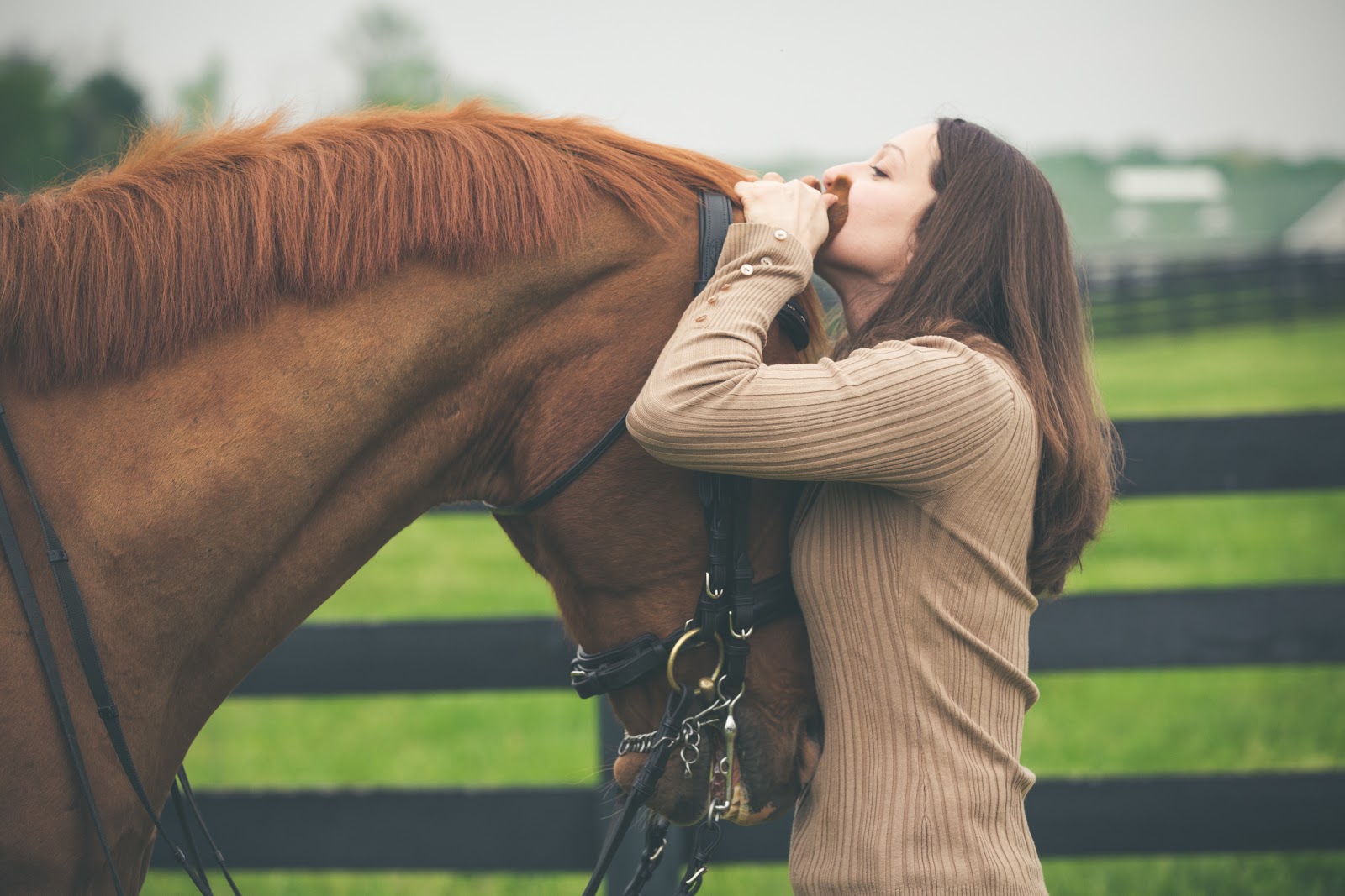 Thoroughbred: King of the Cuddles