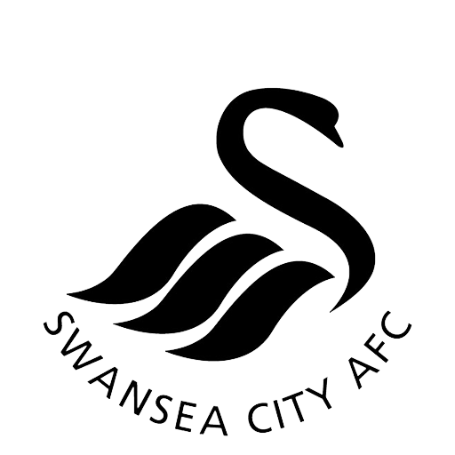 Swansea City AFC