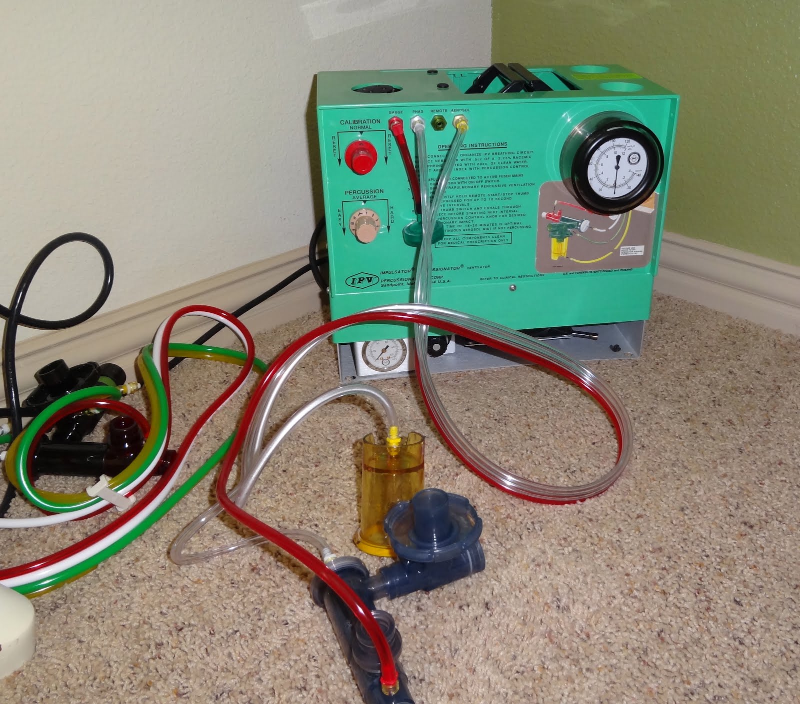 The Wilson's: February 2012