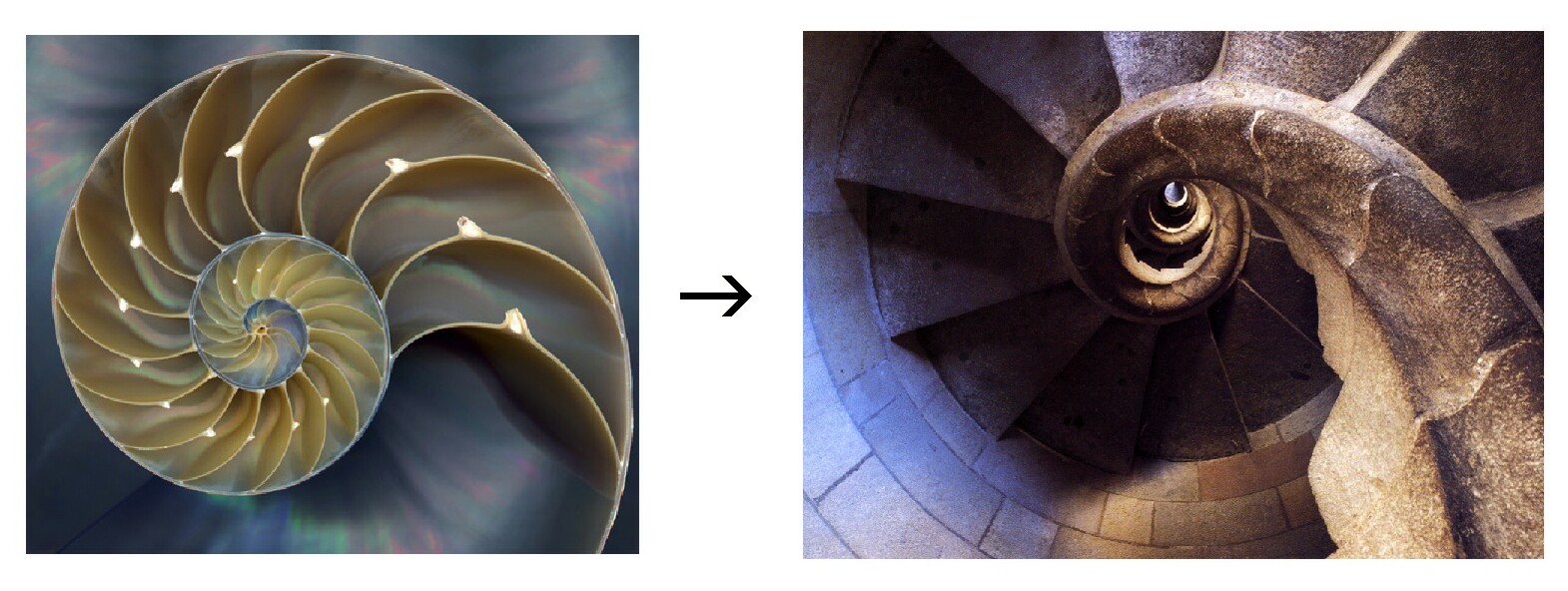 Griffin Rayne - The Art Blog: Gaudi and Gia