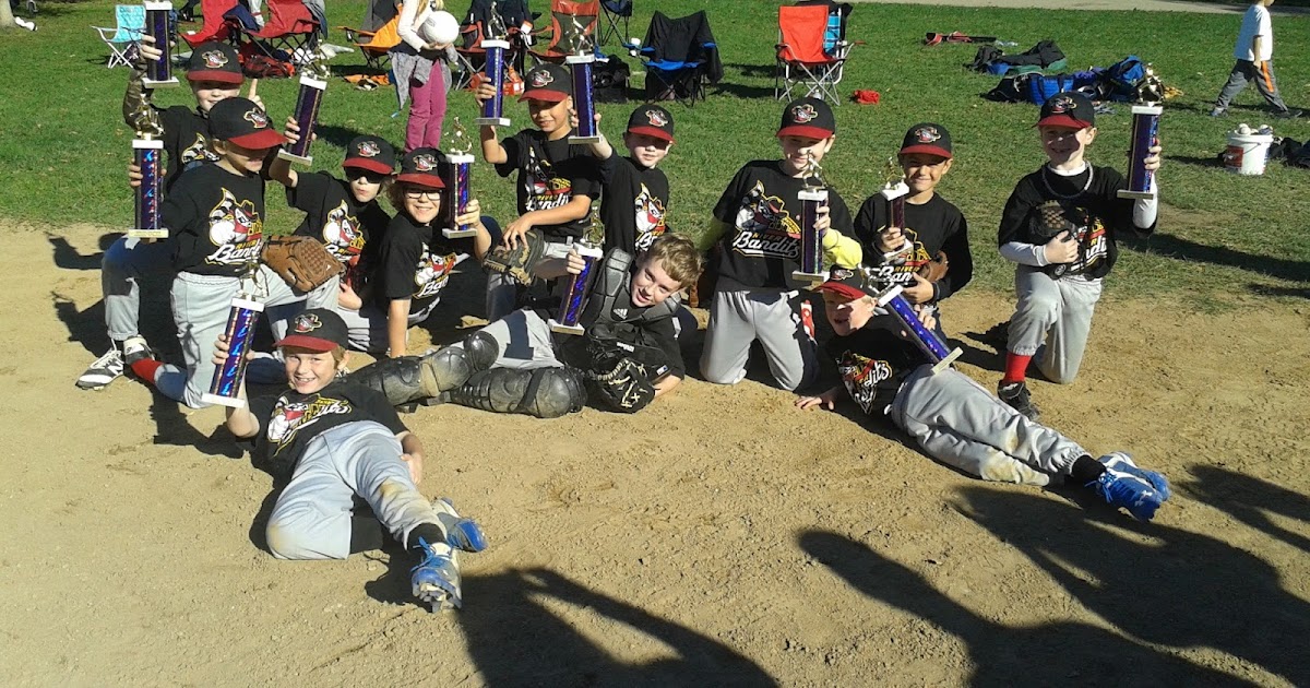 The Chicago Real Estate Local: River Bandits win 8U Welles Park 2015 ...