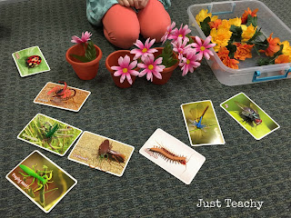 Plants | Just Teachy
