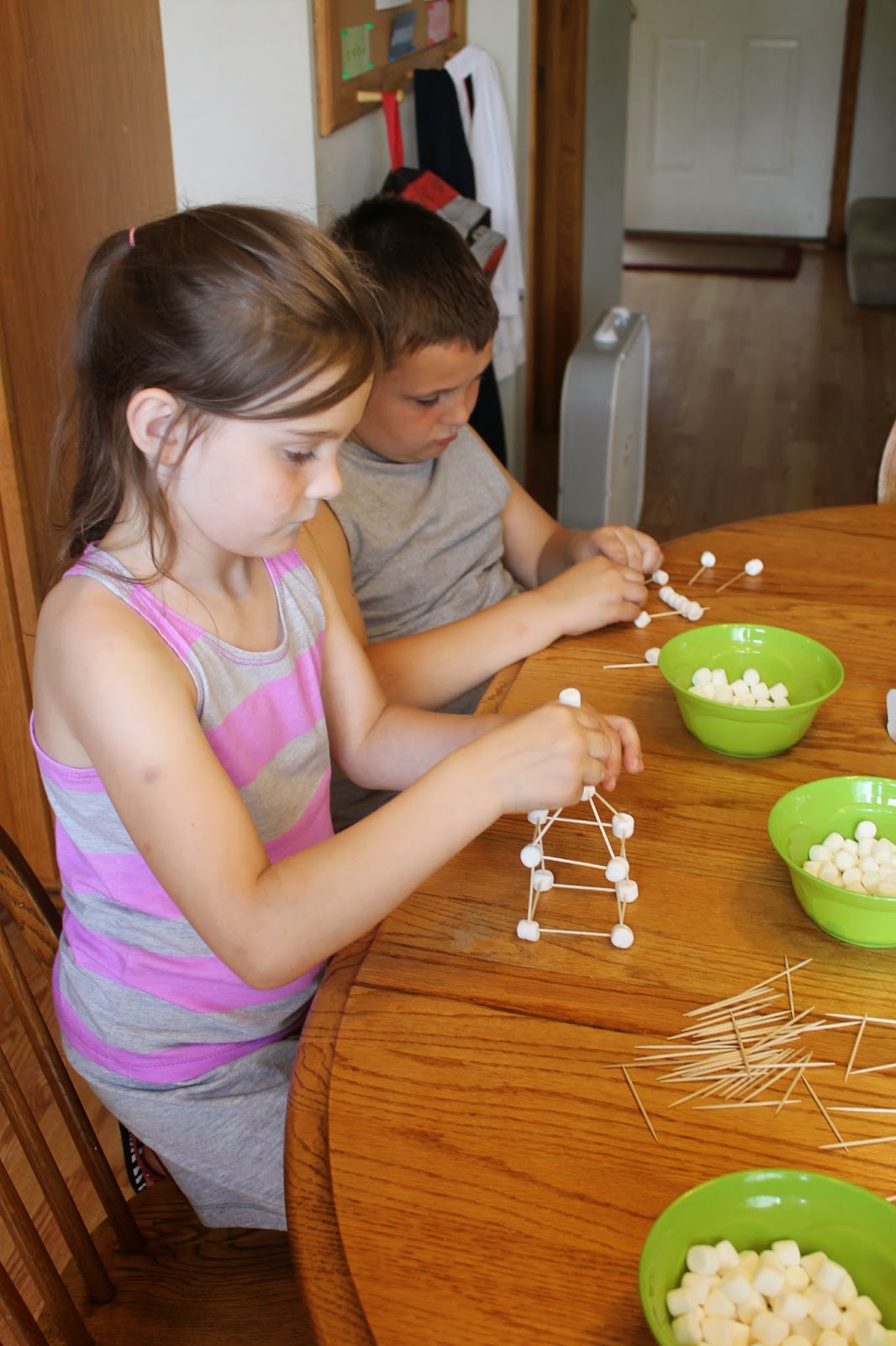The Logan's: Toothpick & Marshmallow Houses