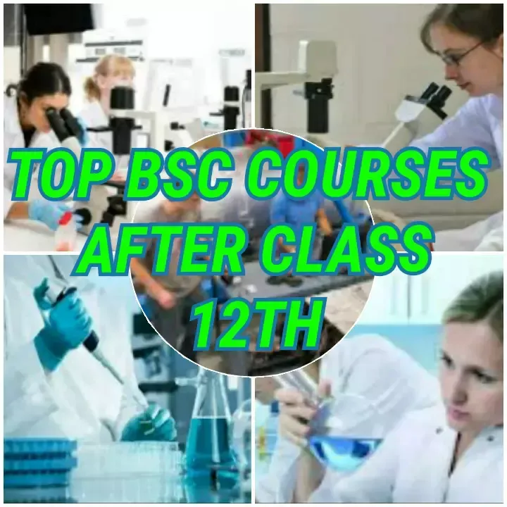 Complete Details About Job Oriented BSc. Courses After Class 12th ...