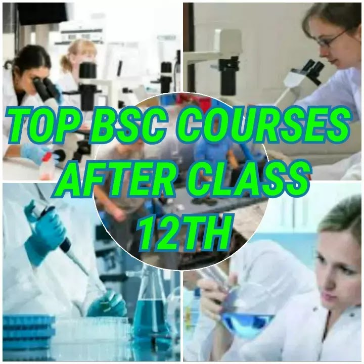 Complete Details About Job Oriented BSc. Courses After Class 12th ...