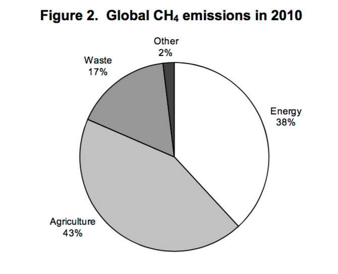 Methane in the spotlight: Anthropogenic sources