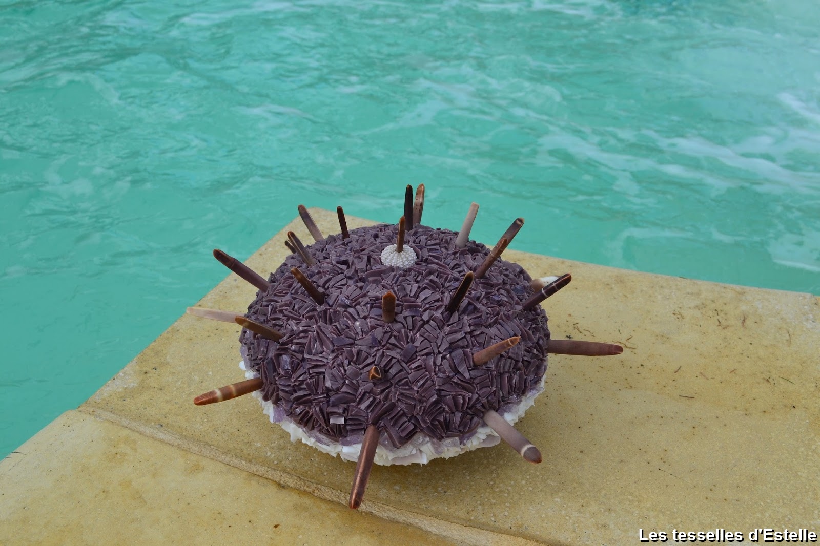 Les tesselles d'Estelle: Bébé oursin