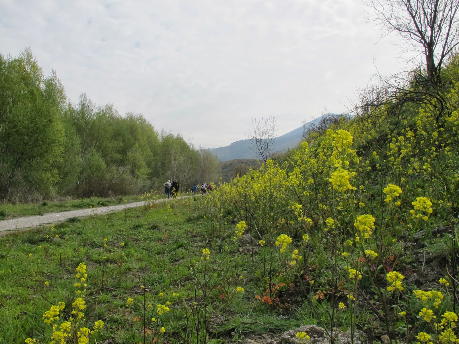 EL RINCÓN DEL CLUB ROMPESUELAS: GRANADA - PINOS GENIL