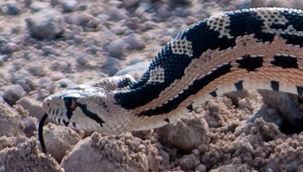 DalmDad's Photo and Travel Blog: Sunset in Death Valley