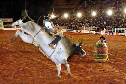 O Pantaneiro: POEMA: PEÃO DE RODEIO