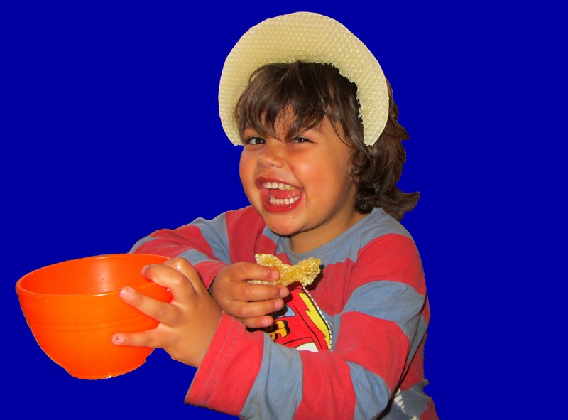 pascal-a-madagascar: Traitement anti varroa / Fanafody tantely