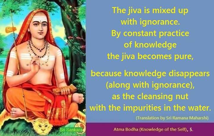 Divine will: Atma Bodha - Knowledge of the Self - By Adi Shankaracharya ...