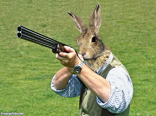 on target shooter nz: LIGHTS On Guns: