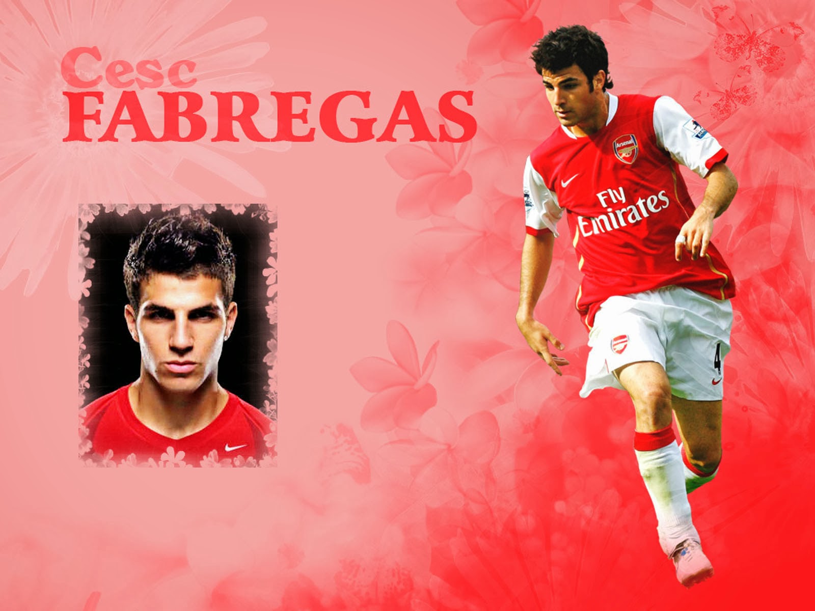 art pictures: Cesc Fabregas Wallpapers