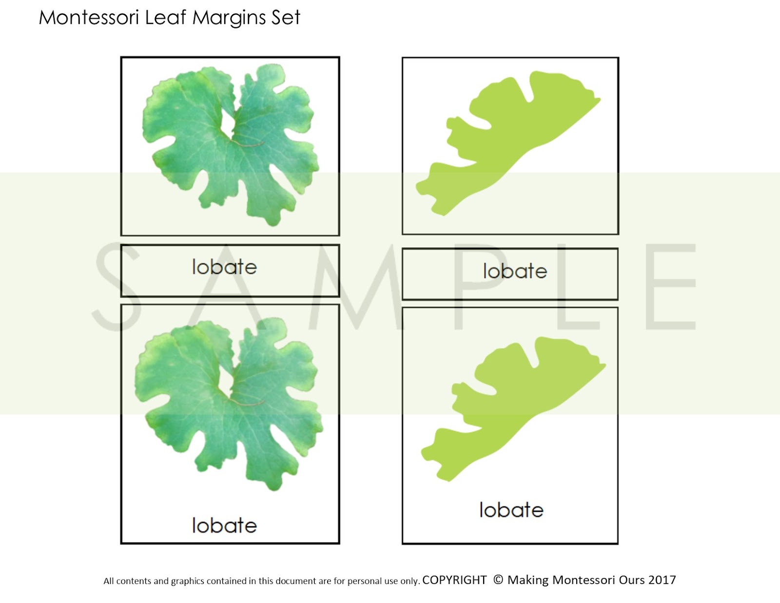 Playing with Leaves, Montessori Botany Activities at Home - "Making ...