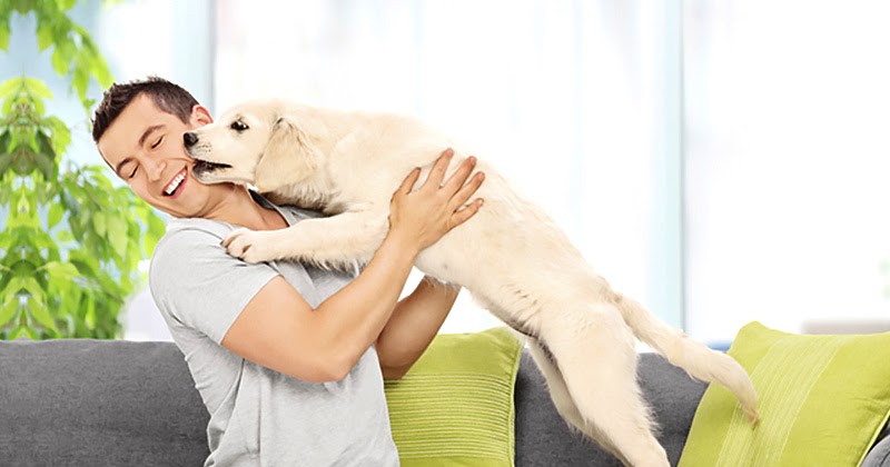 DiscountPetCare: Unveil Top 10 Best Ways to Greet your Dog