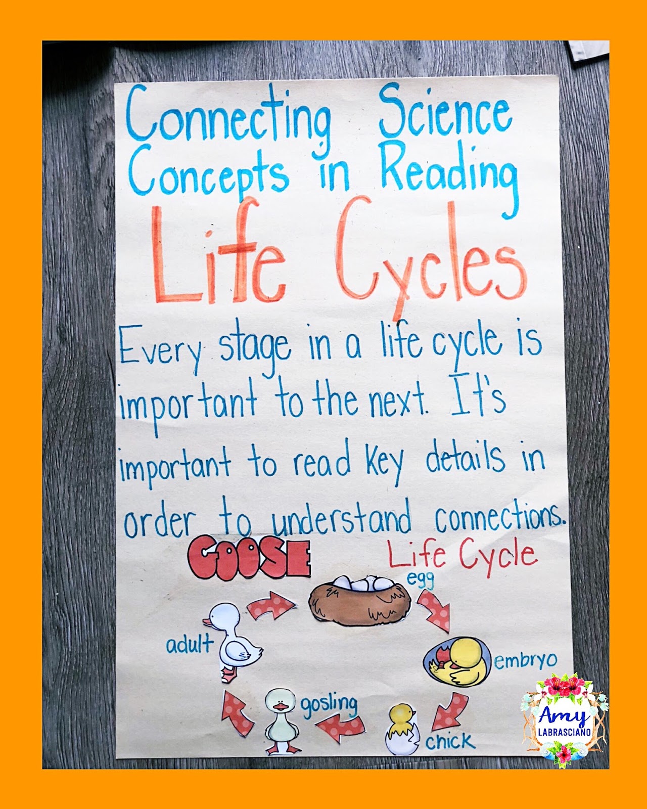 Learning Lessons With Amy Labrasciano: Connecting Events in ...