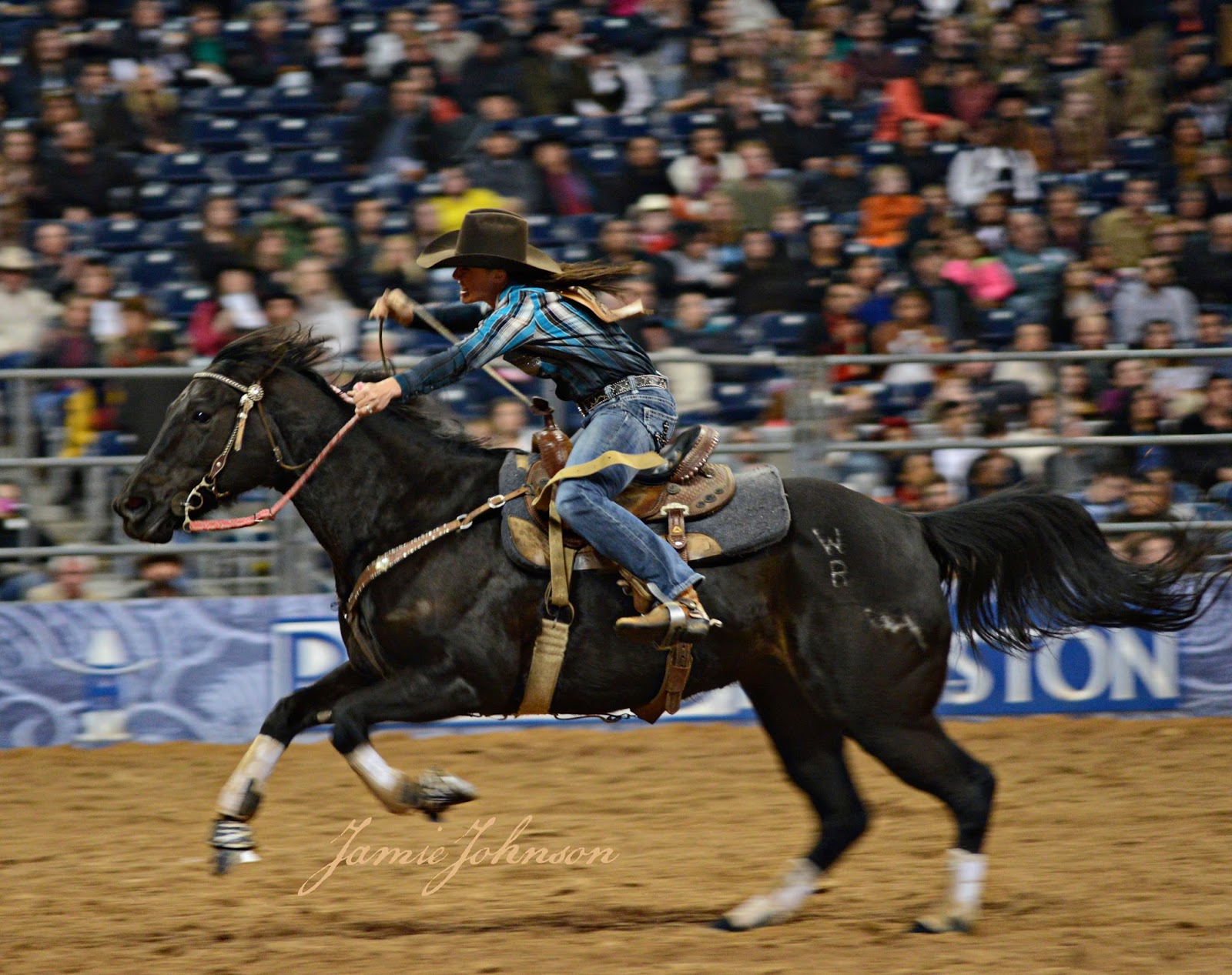 JAMIE JOHNSON -Photographer: Humble Kingwood Houston Dallas TX Cowboy ...