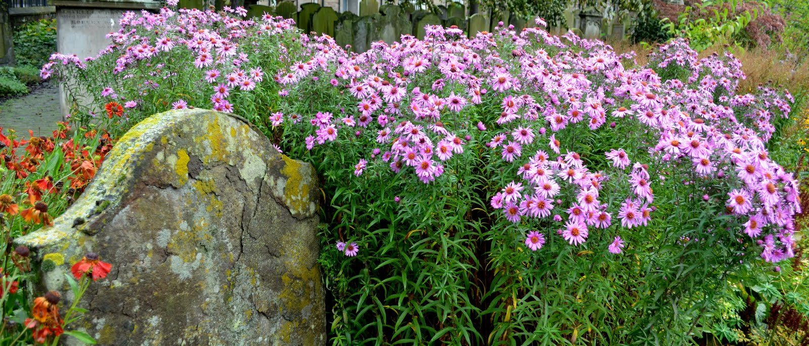 Tour Scotland: Tour Scotland Photographs Howff Graveyard Dundee October 2nd
