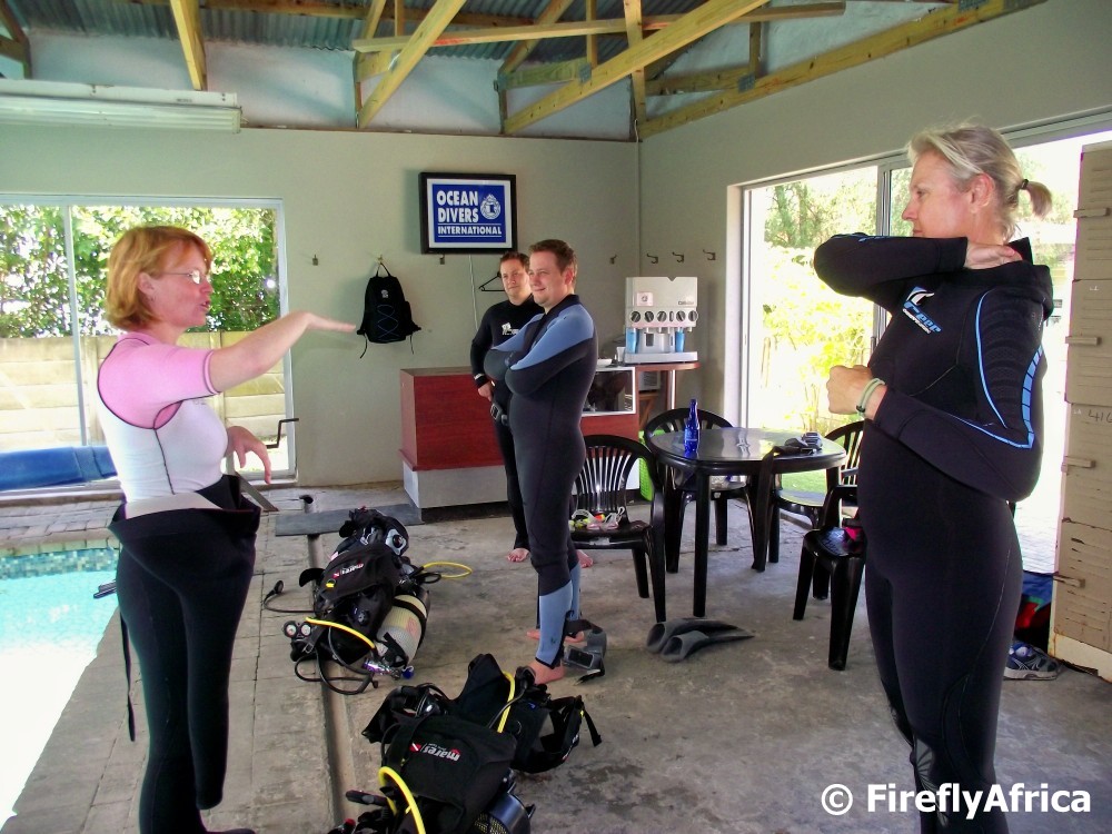 Port Elizabeth Daily Photo: March 2012