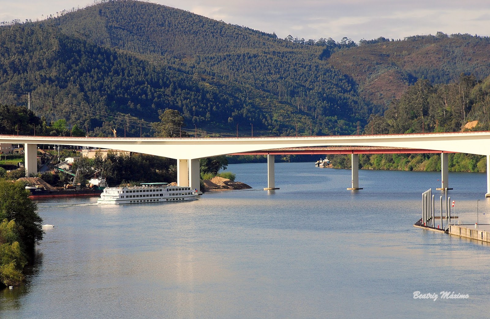 O meu olhar : abril 2019