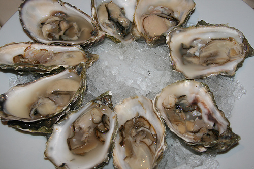 Food & Drink: RI's Official State Shellfish