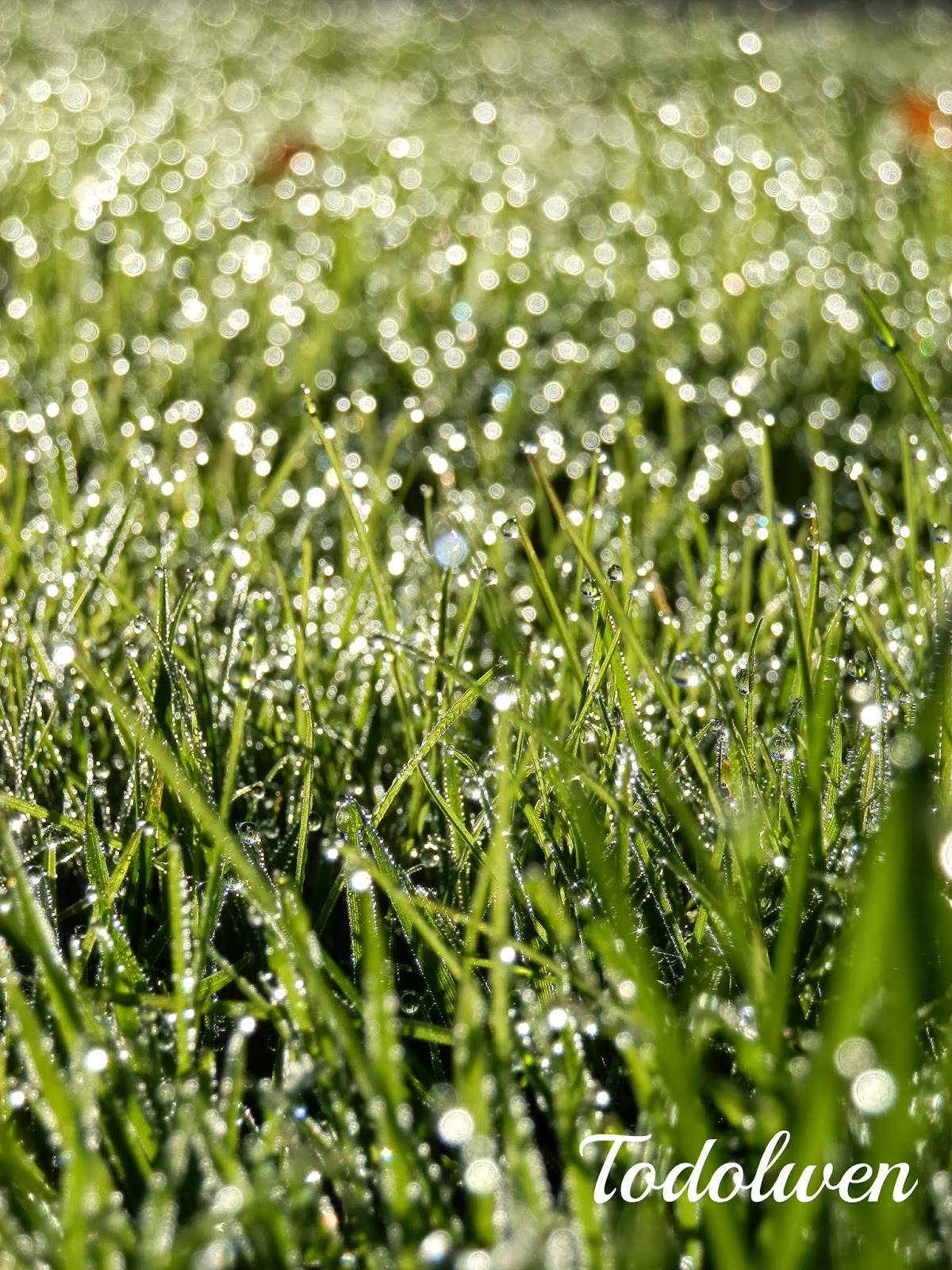 Todolwen: A Bright And Beautiful Fall Morning