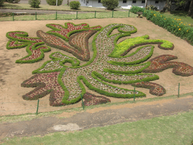 Lanka Seya: Haggala Botanical Garden
