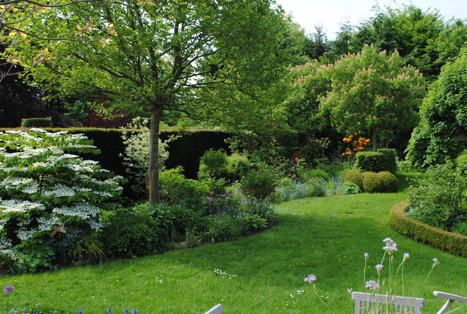 La passion d'Anne-Marie: Mes arbres pour mon petit jardin