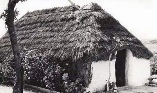 Chozas de Córdoba.: Chozas de las Cabezas de San Juan (Sevilla).