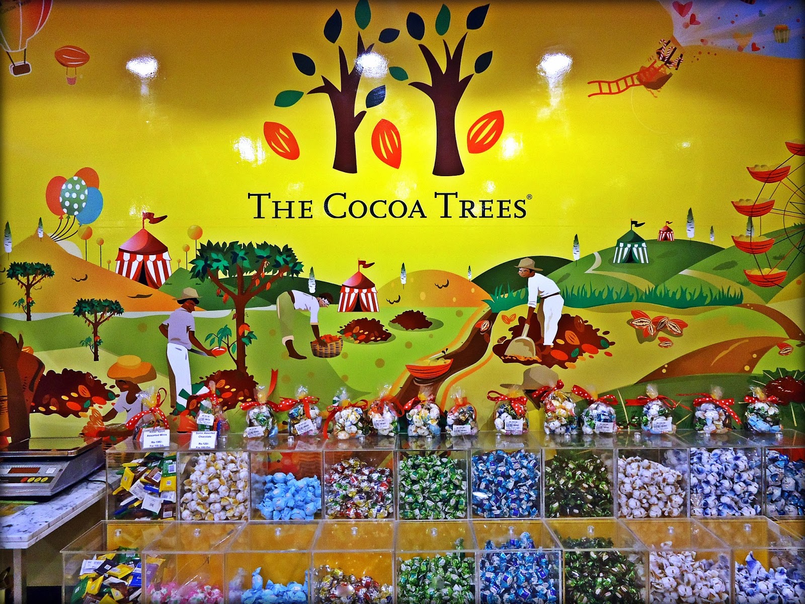 Chocosophy: The Cocoa Trees, Mumbai