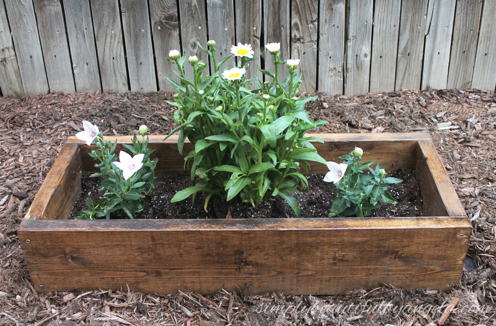 DIY Budget Flower Boxes