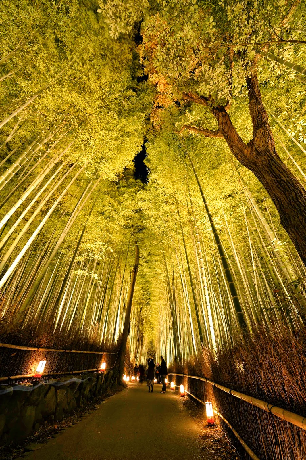 Serendipitylands: FESTIVAL DE LUCES / FESTIVAL OF LIGHTS HANATOURO ...