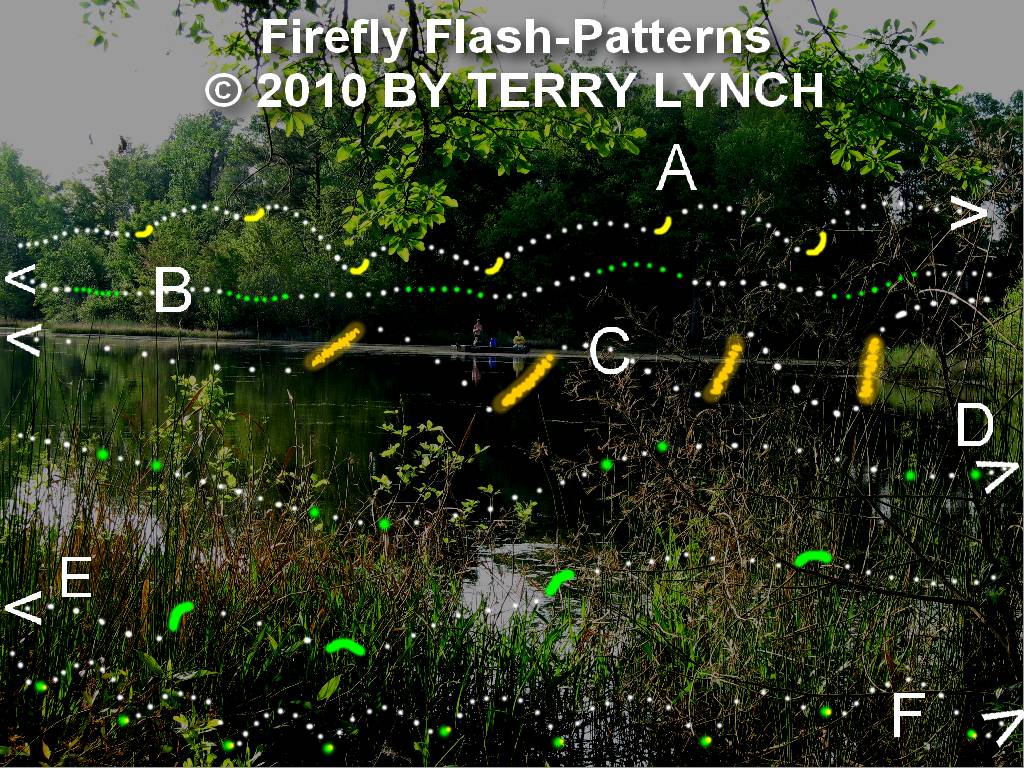 Discovering Darwin: Season 1 Episode 9: Chapter IX - Hybridism