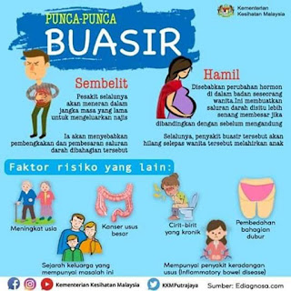 Info Kapsul BUASIR: APA ITU BUASIR