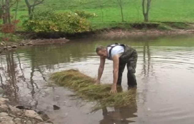 Soscilla: Proses Pembuatan Linen - Sifat & Karakteristik Bahan Serat ...