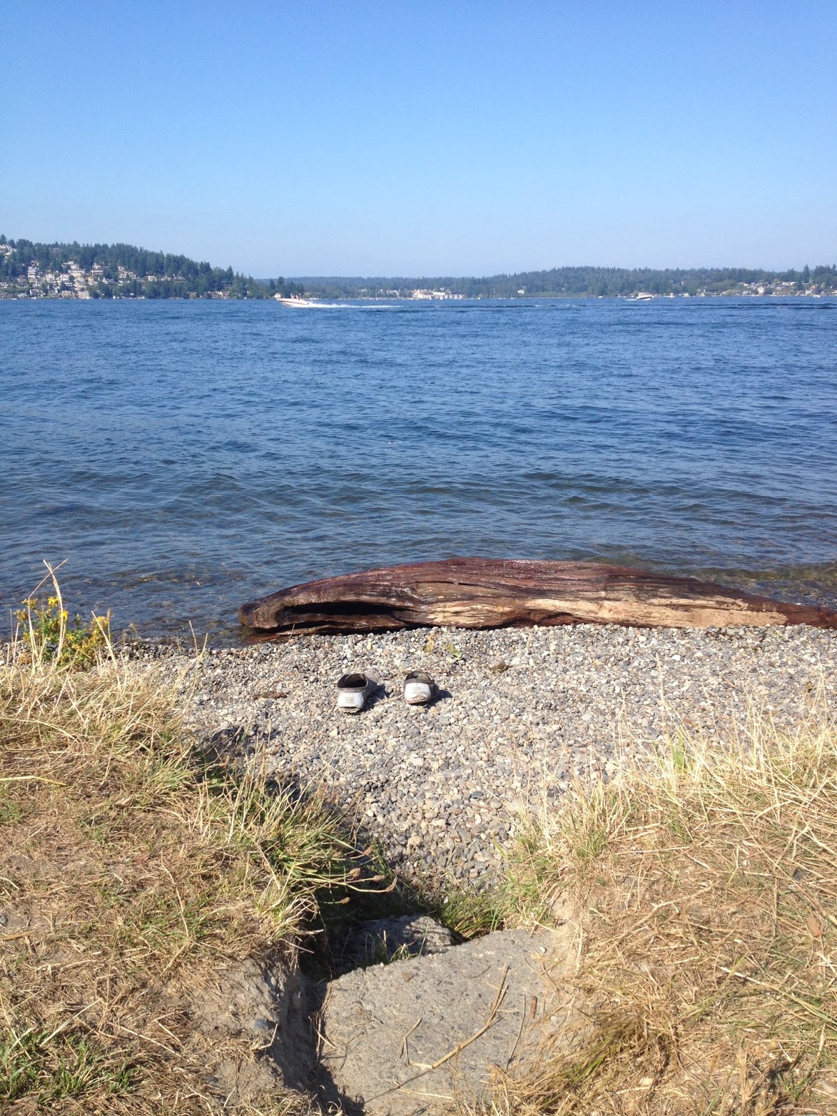 Ode To Magnuson Park | Trails of Arkansas (& now California)