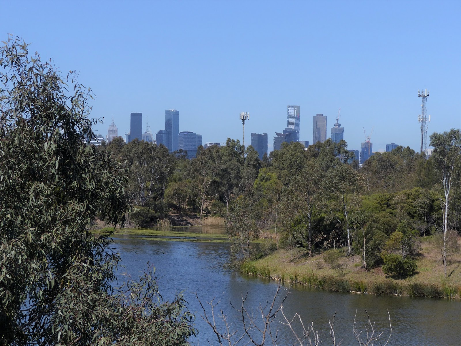 A Field Notebook: Westgate Park, Melbourne
