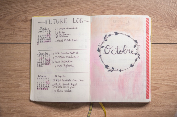 Bullet journal - Carnet #1 | Le blog de Lau Demoizelle