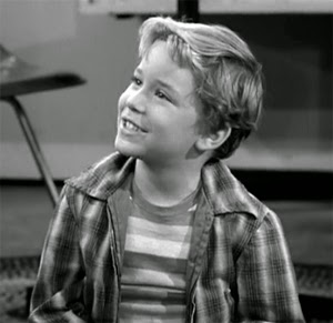 Television's New Frontier: The 1960s: The Dick Van Dyke Show (1961)