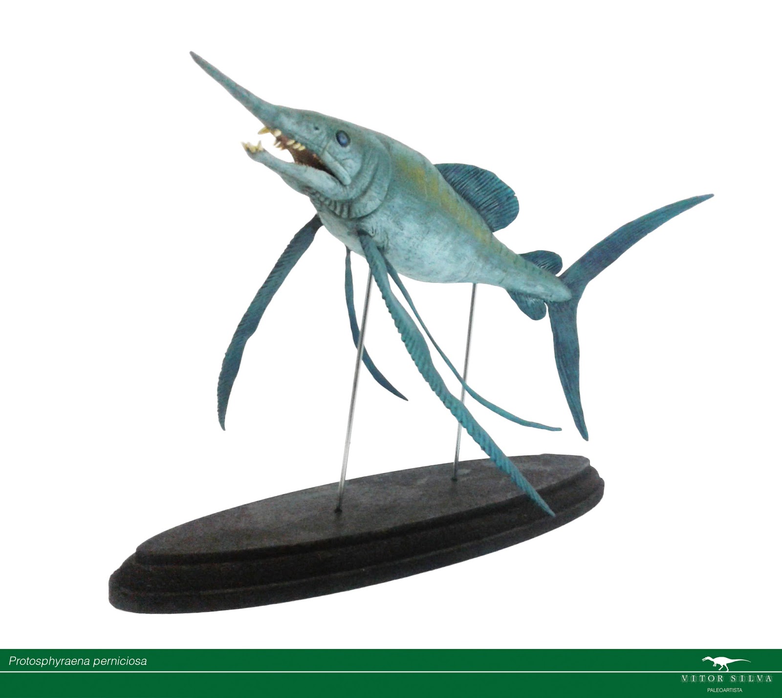 Vitor Silva - Paleoartista: Protosphyraena
