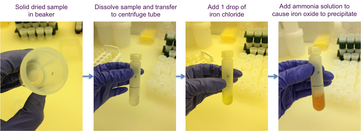 Cobb Lab Research Blog: Science + Dance = The Perfect Mix